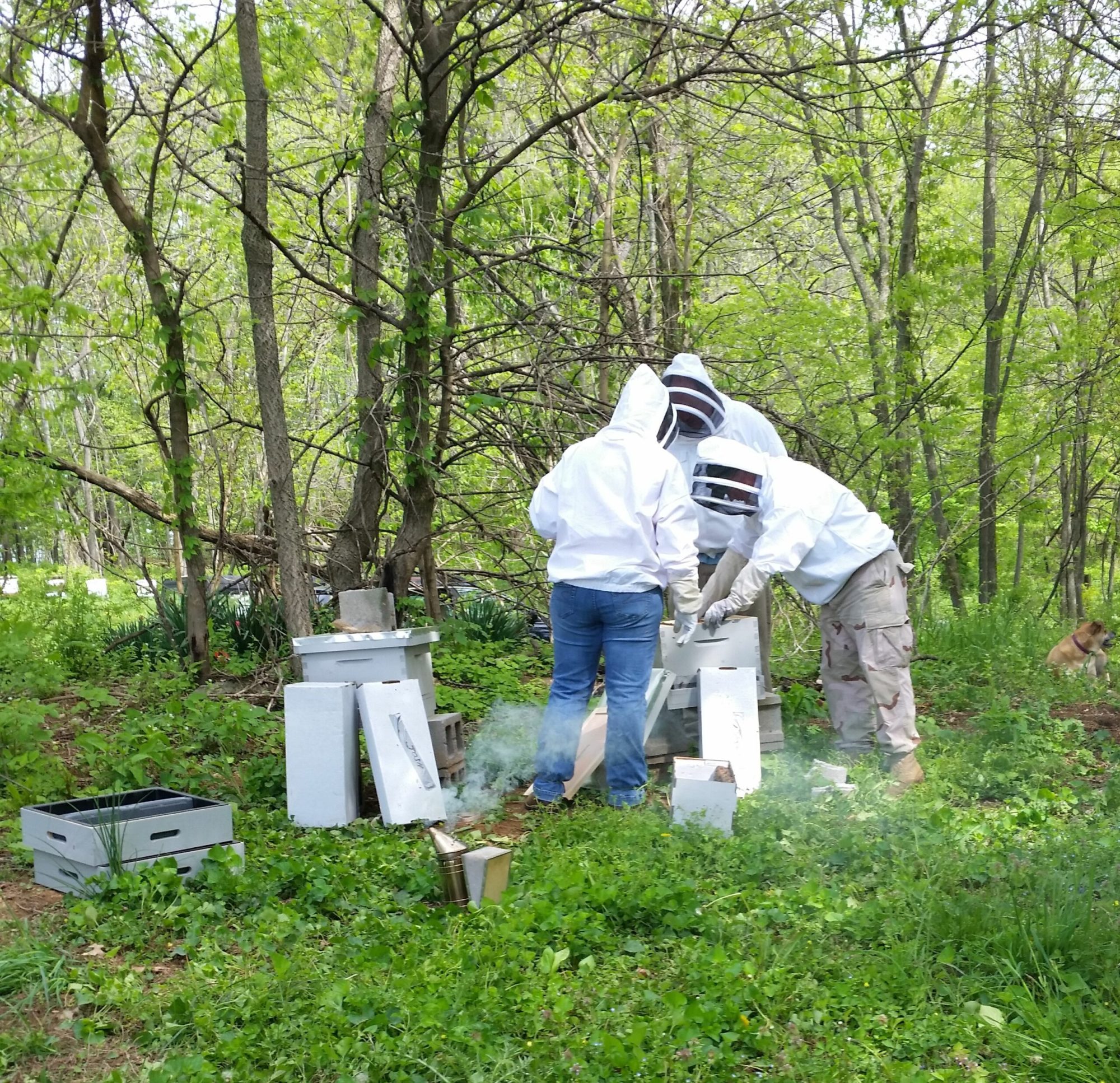 Veteran Beekeeper Program - Frank W. Buckles Veteran Beekeepers Association